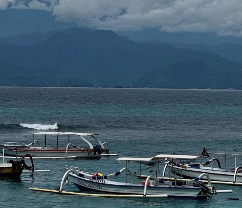 Bali: Nusa Lembongan & Nusa Ceningan 2 Day 1 Night Tour - Nusa Lembongan Highlights