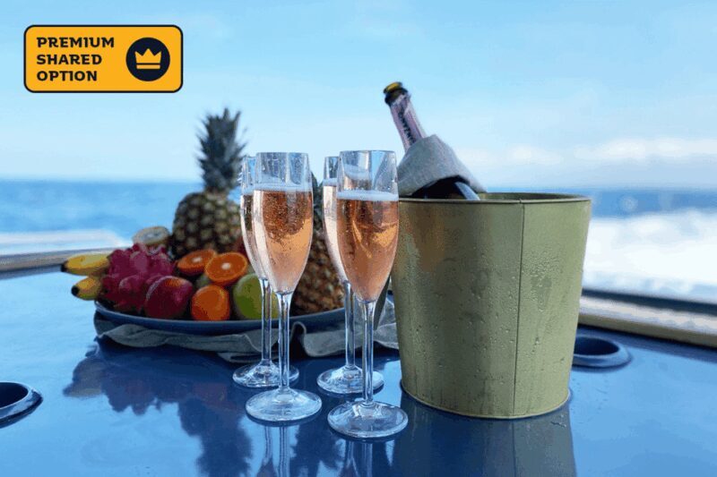 Bali: Nusa Penida by Premium Yacht, Manta Rays, Land Tour - Who Is This Tour Best For?