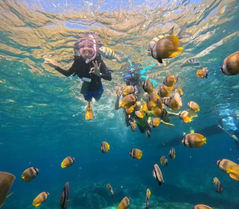 Bali: Nusa Penida Full-Day Trip with Snorkeling - Value and Cost Analysis