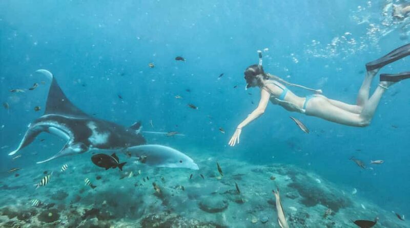 Bali/Nusa Penida: Manta Point Snorkeling & West Coast Tour - Exploring Nusa Penida’s Landmarks
