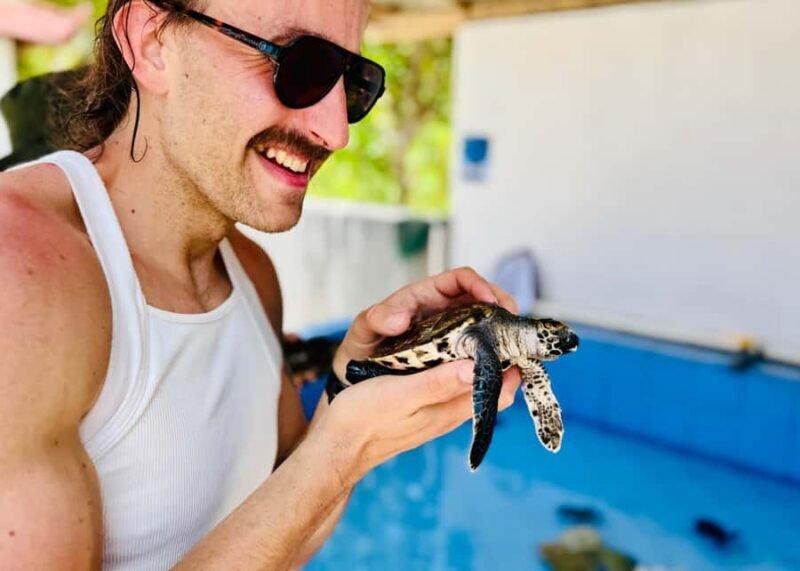 Bali: Nusa Penida: Turtle Conservation, Massive Cave Temple - Key Points