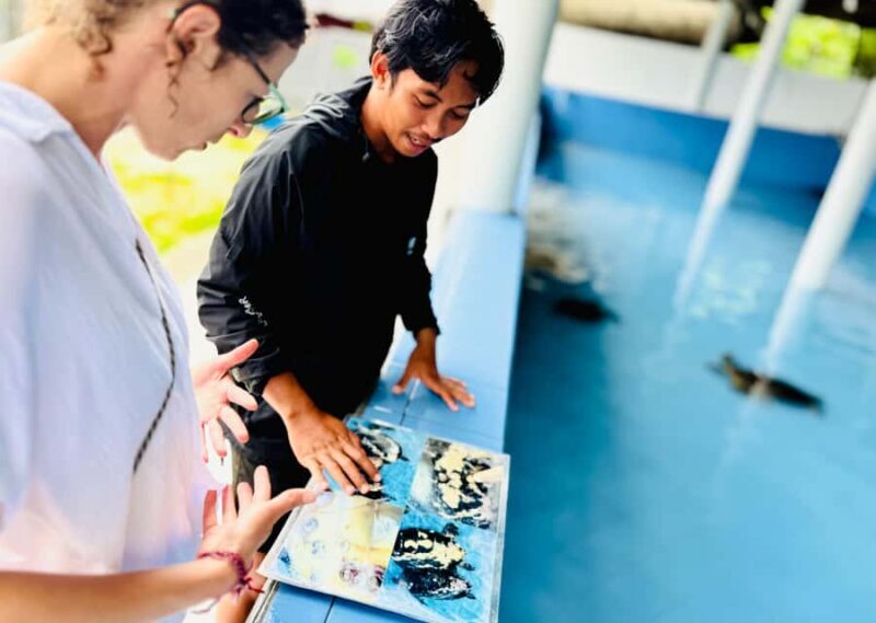 Bali: Nusa Penida: Turtle Conservation, Massive Cave Temple - Introduction and Overall Impression