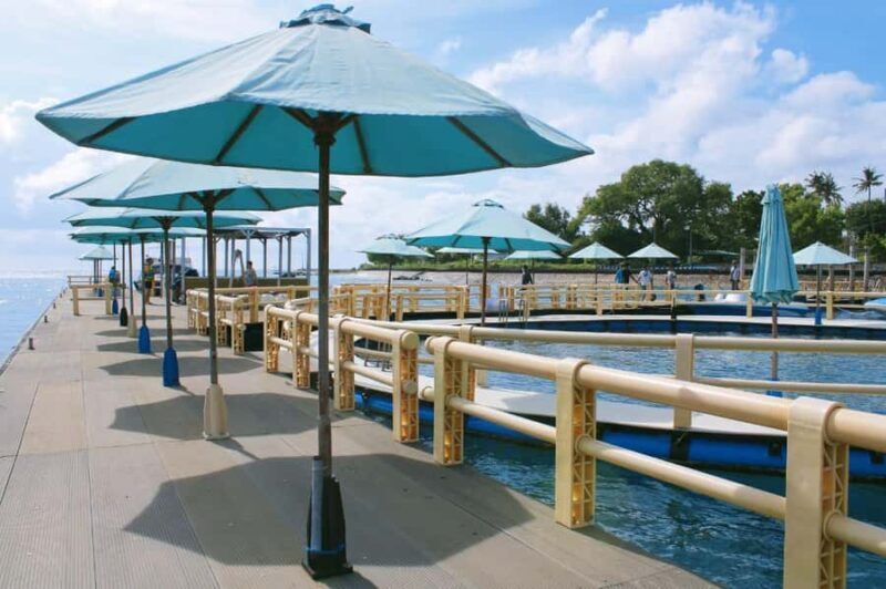 Bali: Nusa Penida West Coast Tour with Snorkeling & Kayaking - Who Would Enjoy This Tour?