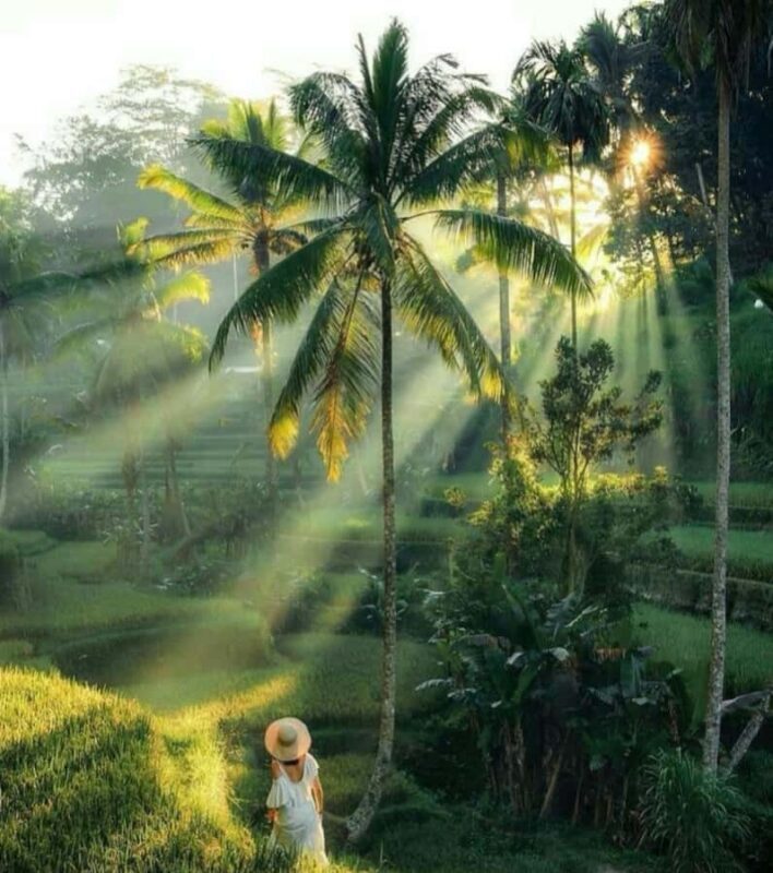 Bali : Offering Class, Purification Ritual & Rice Terraces - Frequently Asked Questions