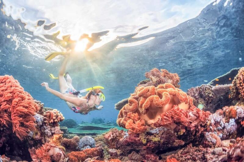 Bali: Padangbai Blue Lagoon Snorkeling Day Trip - Food, Rest, and Local Vibes