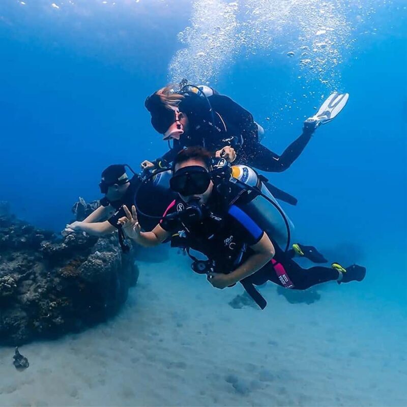 Bali: Padangbai PADI Discover Scuba Diving with 2 Dives - Key Points