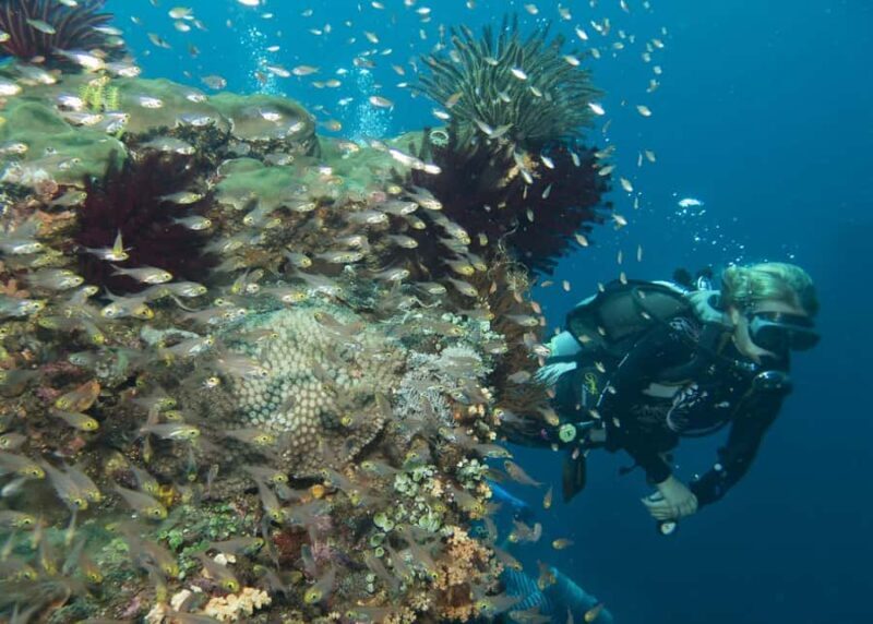 Bali: Padangbai PADI Discover Scuba Diving with 2 Dives - The Sum Up