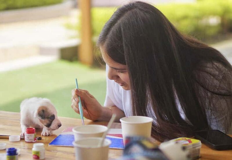 Bali: Paint with Puppies - Ubud, Canggu - What is the "Paint with Puppies" Experience?