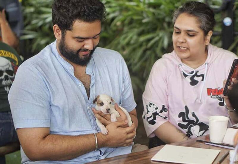 Bali: Paint with Puppies - Ubud, Canggu - Who Will Love This Experience?