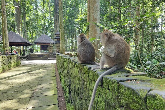 Bali Palm Reading with Jatiluwih Rice Terrace Walking Tour - Final Thoughts: Who Will Love This Tour?