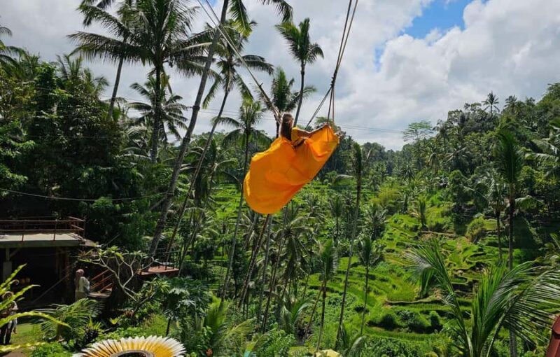 Bali: Penglipuran Village, Rice Terrace & Waterfall Tour - The Sum Up