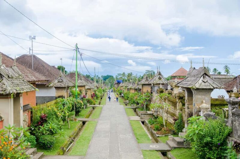 Bali: Penglipuran Village, Tirta Empul & Ubud All Incusive - What Travelers Love About This Tour