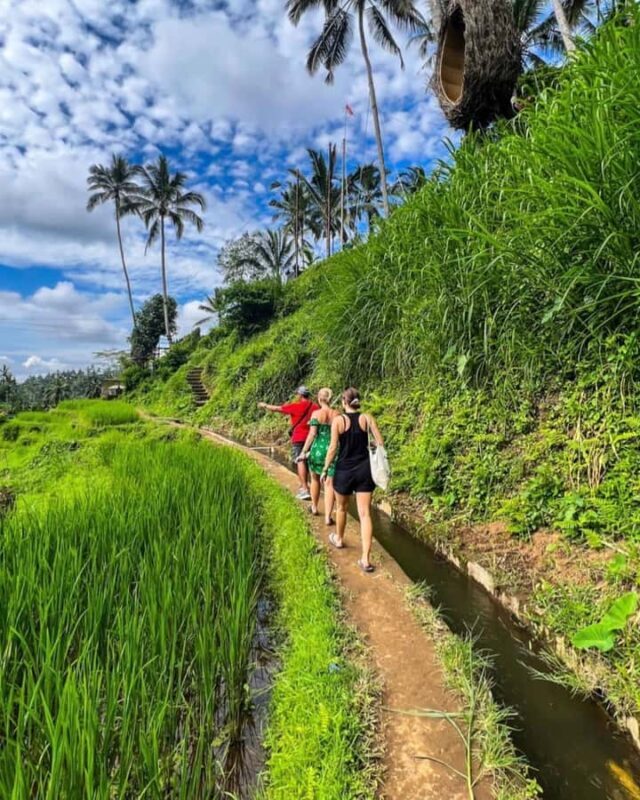 Bali Personal Design - Customized Tour - The Sum Up