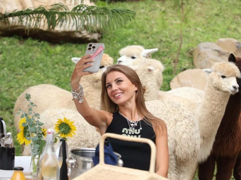 Bali: Picnic with Alpacas/Donkeys and Temple Tour - Key Points