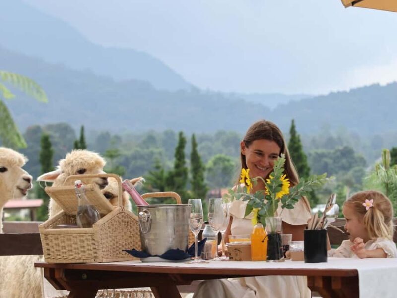 Bali: Picnic with Alpacas/Donkeys and Temple Tour - Who Will Love This Tour?