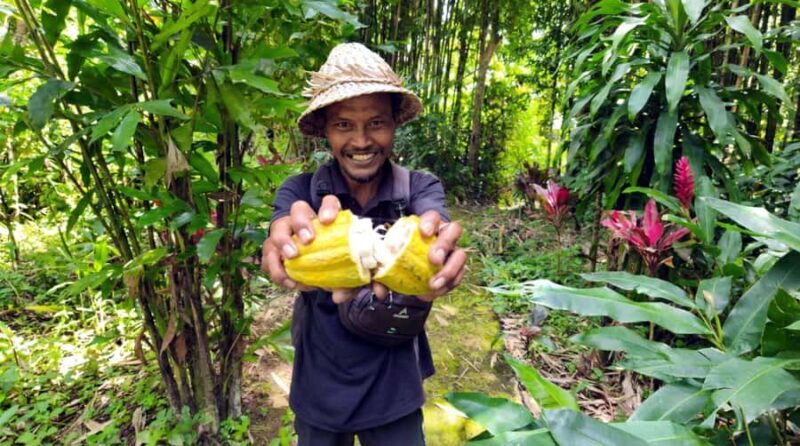 Bali: Pinge Village Tour: School Visit, Cooking Class, Lunch - Final Thoughts: Why This Tour Is Worth Considering