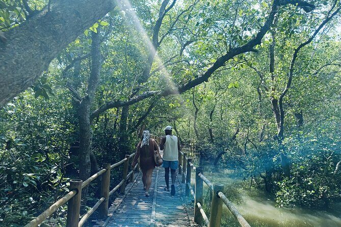 Bali: Point of Bliss massage with mangrove Kayaking and GWK Park - Who Should Consider This Tour?