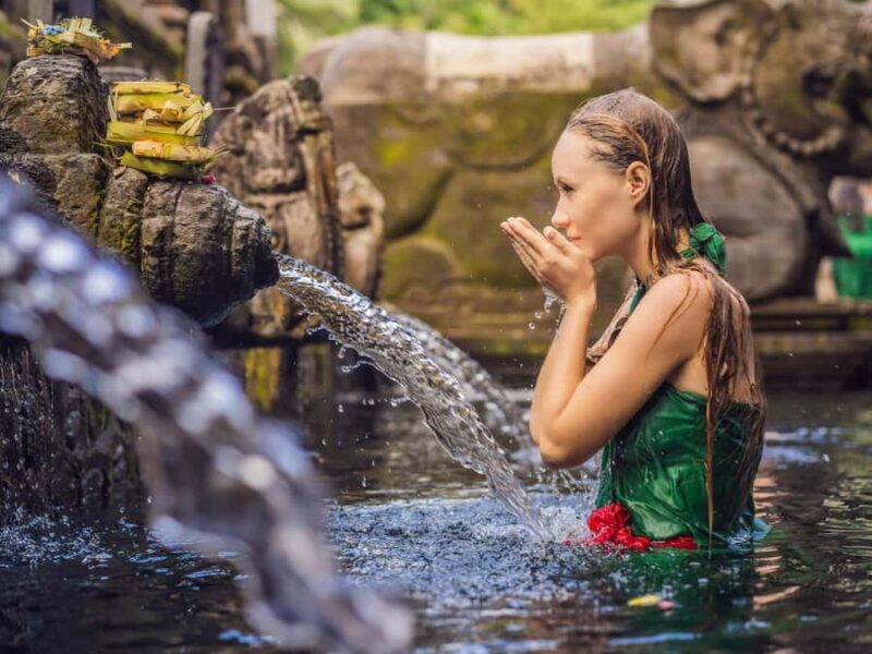 Bali: Private Balinese Home, Temple, and Waterfall Tour - The Sum Up: Who is This Tour Best For?