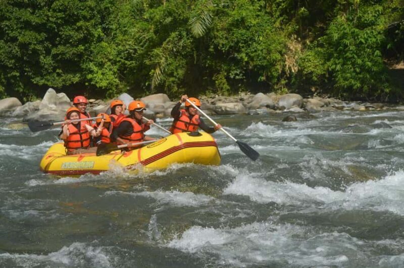 Bali: Private Boat White Water Rafting & Lunch - Key Points