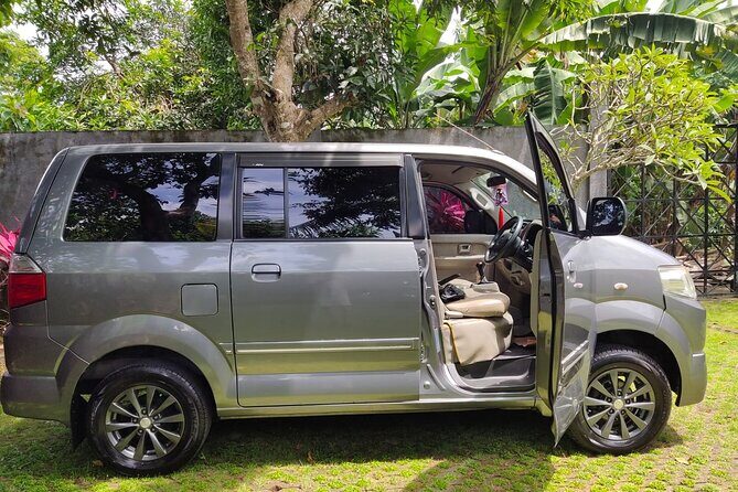 Bali Private Car Charter & Customize Tour With Driver English Speaking-Free WiFi - What Travelers Are Saying