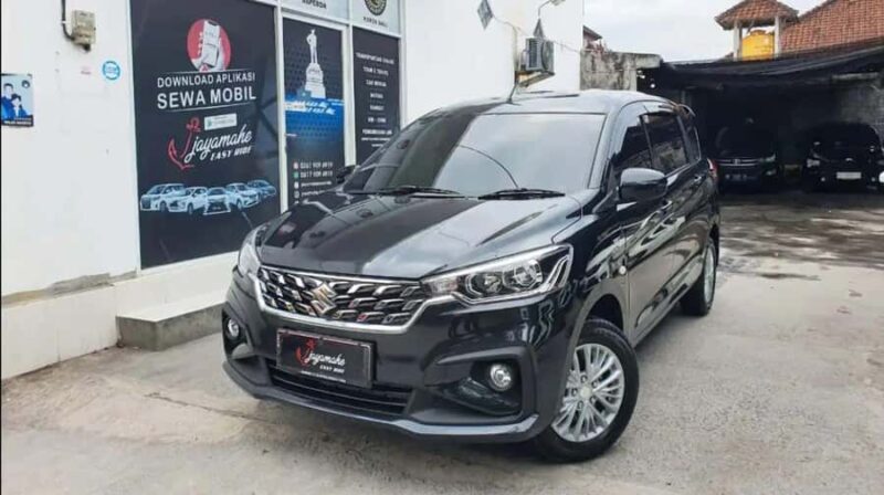 Bali Private Car Charter With Profesional Drivers - Final Thoughts: Who Is This Private Car Charter Best For?