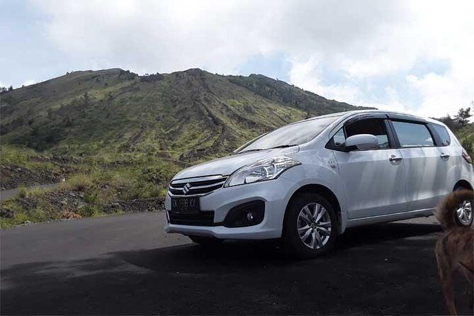 Bali Private Car or Minibus Charter With Driver - Key Points