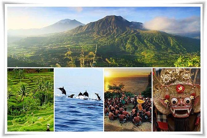 Bali Private Car or Minibus Charter With Driver - FAQ