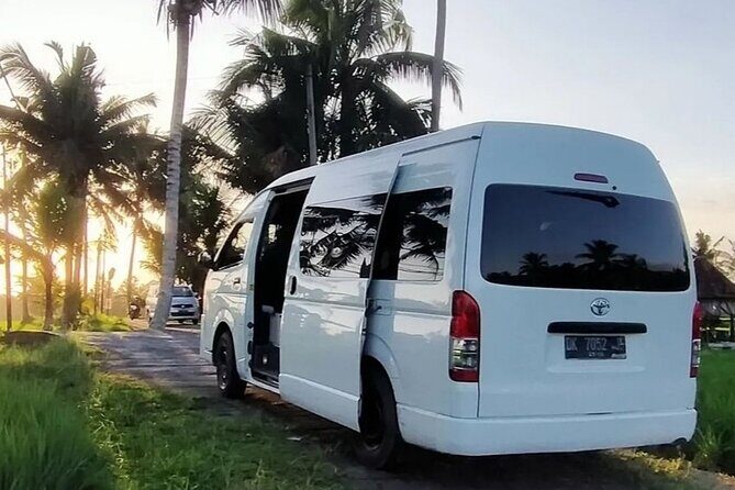 Bali Private Car Service with English Speaking Driver - Why This Tour Works Well