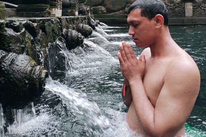 Bali Private Car Transport Experience - Key Points