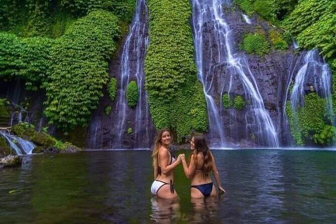 Bali Private Car Transport Experience - What Are the Highlights?