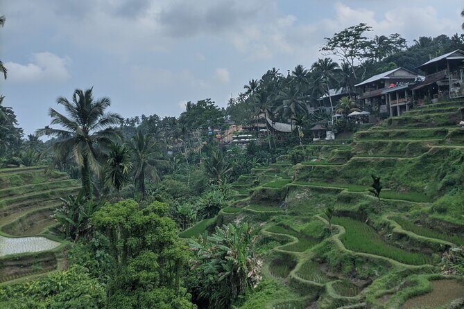 Bali Private Customizable Tour - An In-Depth Look at the Bali Private Customizable Tour