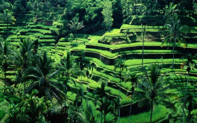 Bali: Private Customize Tour - Key Points