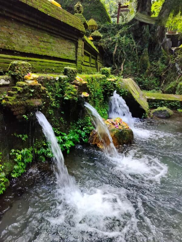 Bali: Private Customized Full-Day Tour with Driver - Authentic Experiences and Traveler Insights