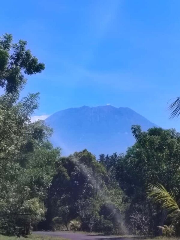 Bali: Private Customized Full-Day Tour with Driver - Who Will Love This Tour?