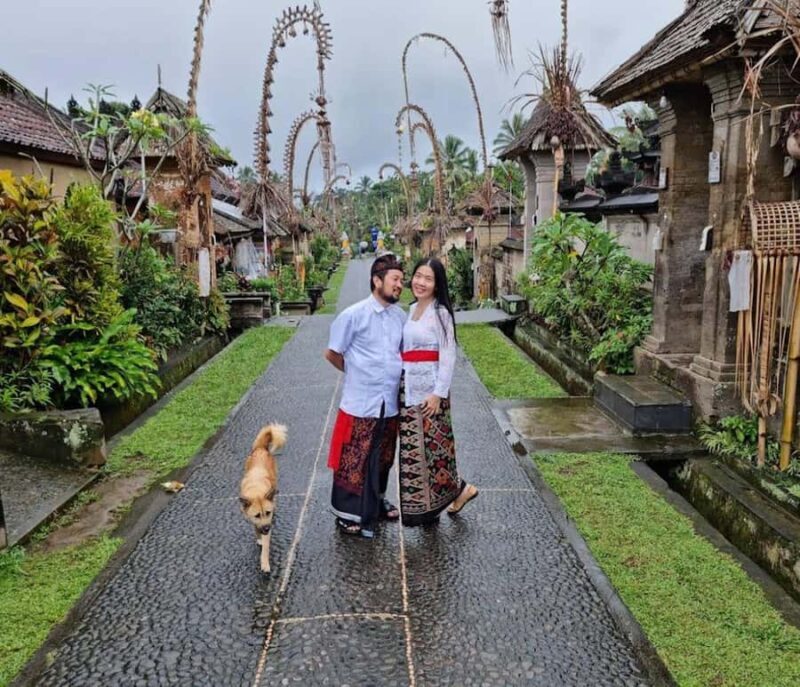 Bali: Private Day Trip to Waterfall & Traditional Village - Key Points