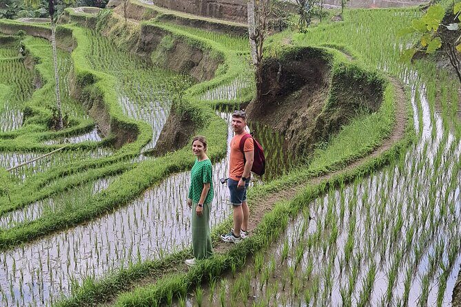 Bali Private Driver and Car for Customize Tours - What’s the Itinerary Like?