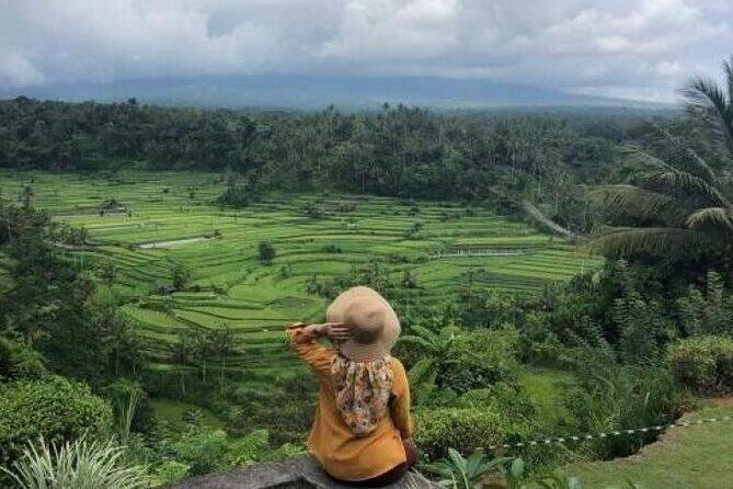 Bali Private Driver For Tour in Bali - A Deep Dive into the Tour Experience