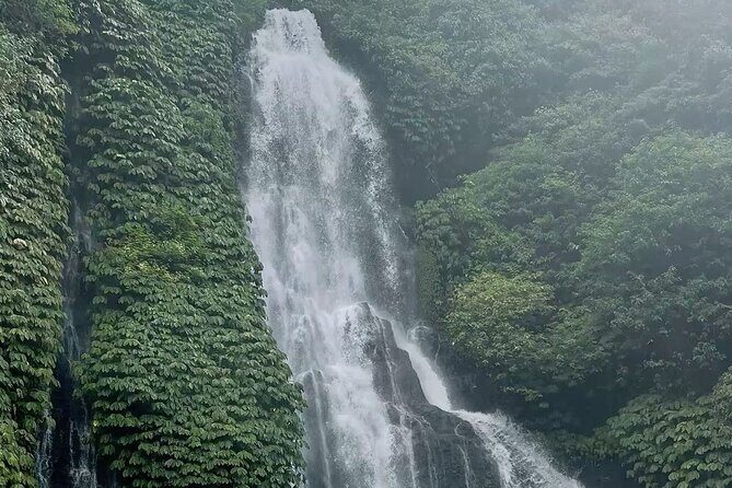 Bali : Private Fullday trip, Discover North Bali Destination - Munduk Rice Fields and Other Hidden Gems