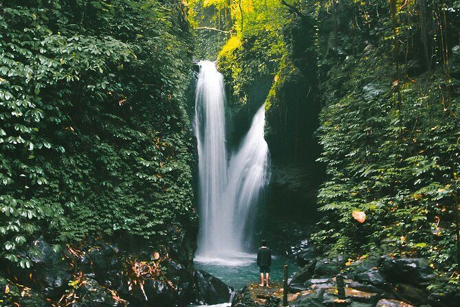 Bali : Private Fullday trip, Discover North Bali Destination - Cultural Interactions and Local Markets