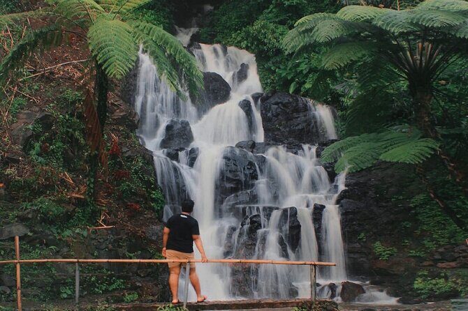 Bali : Private Fullday trip, Discover North Bali Destination - Practical Details and Comfort