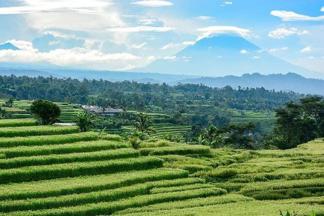 Bali Private Hired Car with Private Driver - Key Points