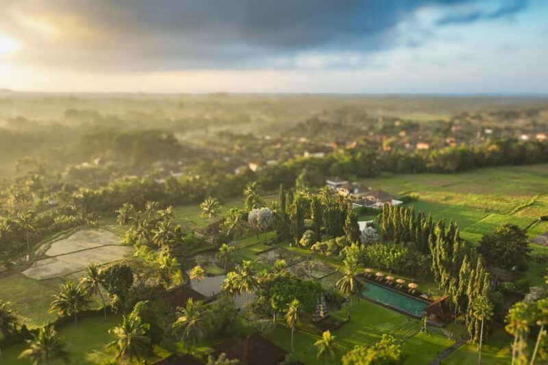 Bali: Private Hot-Air Balloon Ride - Insights from Reviews: Authentic Voices