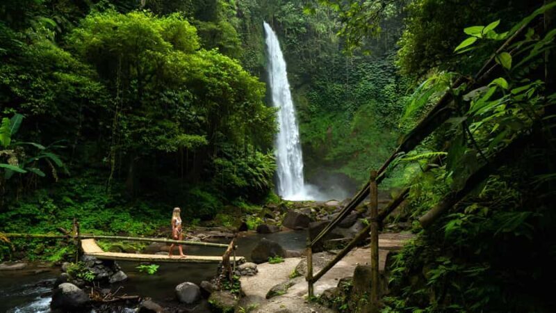Bali: Private Jungle Swing, Waterfall & Rice Paddy Tour - An In-Depth Look at the Bali Private Jungle Swing, Waterfall & Rice Paddy Tour
