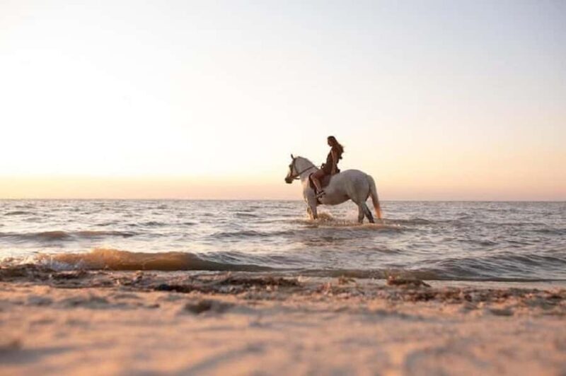 Bali: Private Kudungu Beach and Rice Field Horseback Ride - Key Points