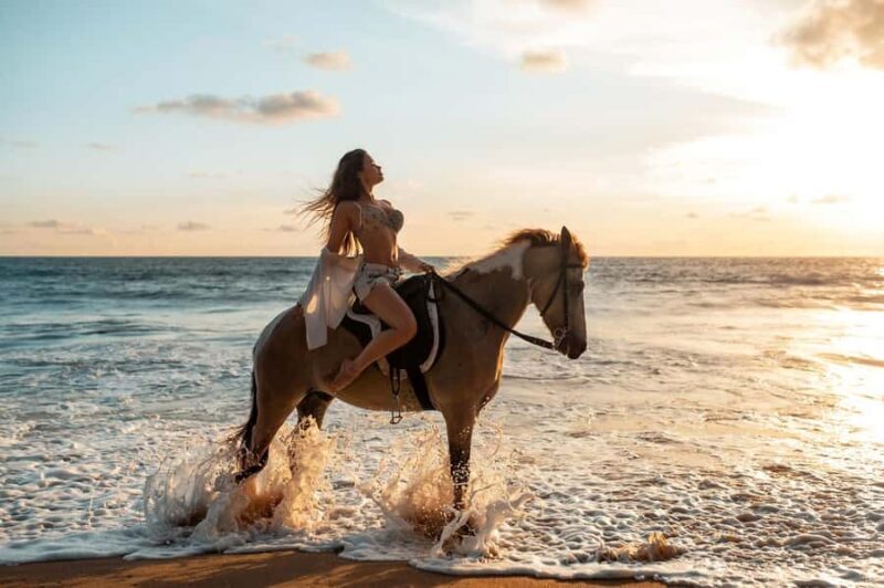 Bali: Private Kudungu Beach and Rice Field Horseback Ride - An Introduction to the Bali Horseback Ride