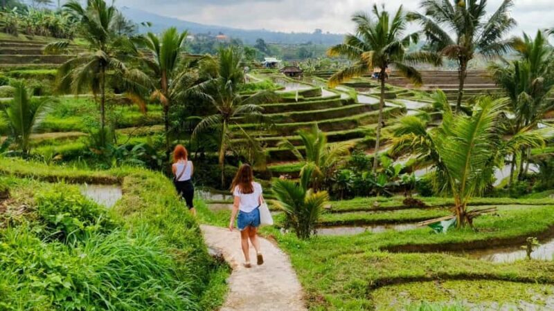 Bali: Private North Bali Tour with Lunch & Waterfall - Detailed Breakdown of the Itinerary