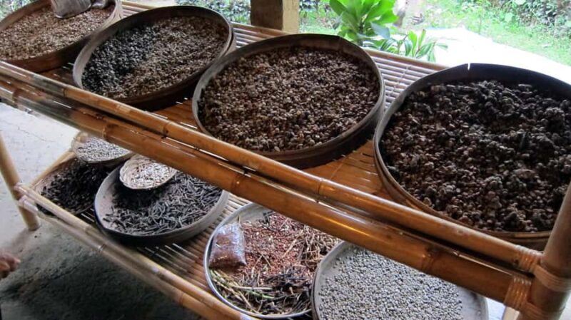 Bali private : Palm Reading Water Temple, rice terrace - Scenic Highlights and Tasty Breaks