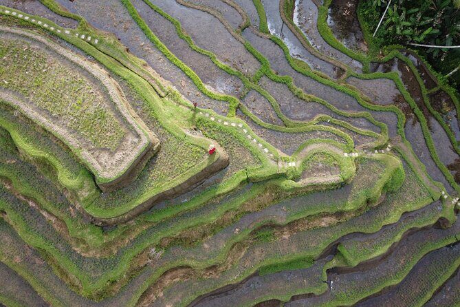 Bali Private Photographer & Drone - An Introduction to the Balinese Photo Adventure