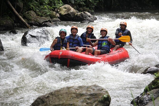 Bali Private Small Group White Water Rafting in Ubud - Who Is This Tour Ideal For?