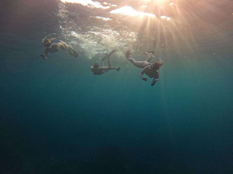 Bali: Private Snorkeling at Manta Point Nusa Penida - FAQs